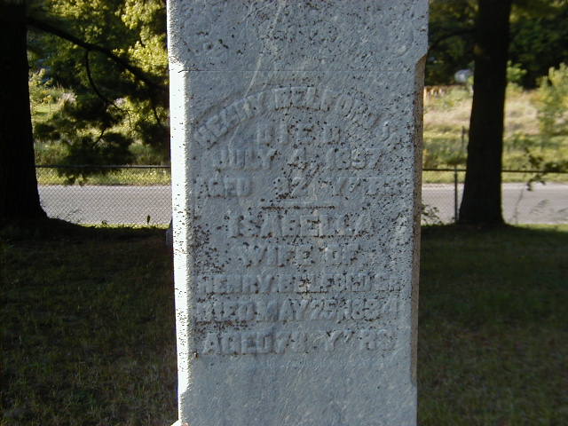 TreesByDan - Exhibit