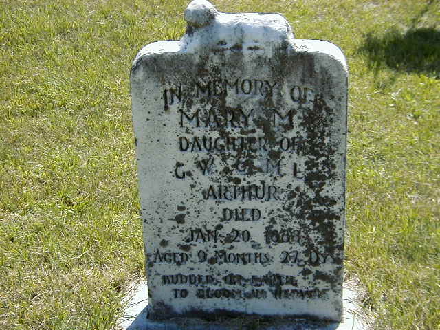 TreesByDan - Exhibit