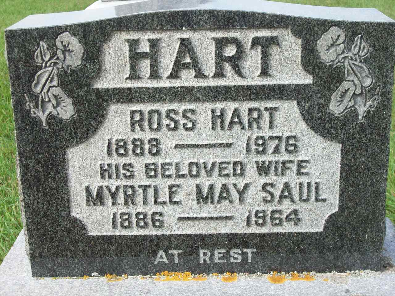 TreesByDan - Exhibit