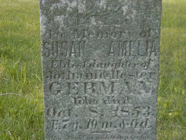 TreesByDan - Exhibit