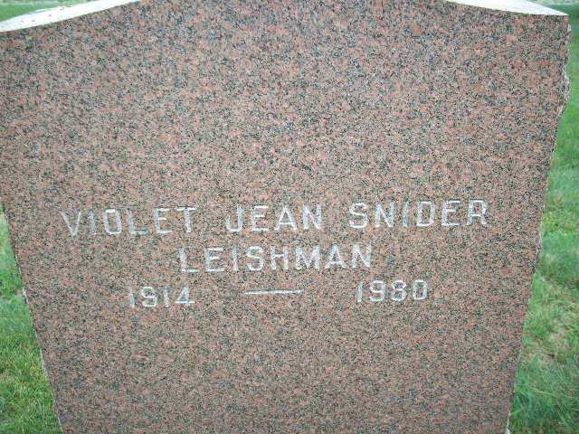 TreesByDan - Exhibit