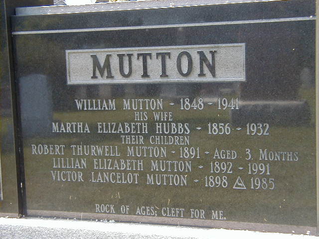 TreesByDan - Exhibit